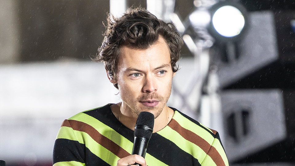 Target lleva un vinilo exclusivo de 'Harry's House' que es tan bonito ...